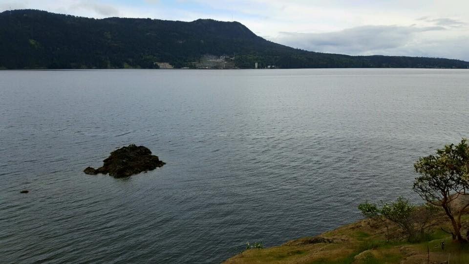 TGIF | AIM Program of Energetic Balancing